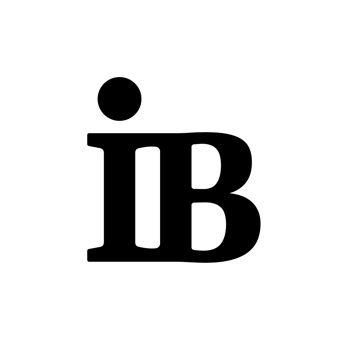 Internationaler Bund: Download und Publikationen